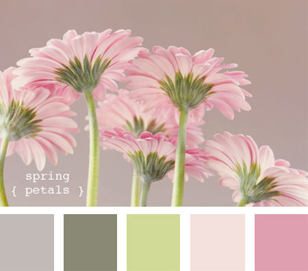 HOME DZINE | Nature's colours for a home