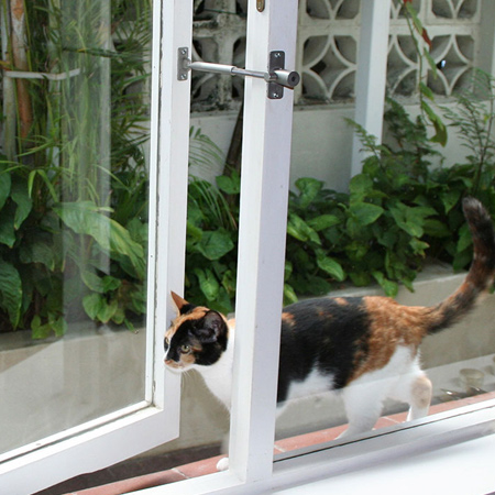 HOME DZINE News | New LockLatch window and door security