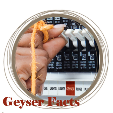 HOME DZINE Green Living | Switch off the geyser and save!