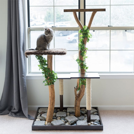 HOME DZINE Home DIY | Cat Play Stand with Branches
