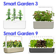 HOME DZINE Garden Design | Plant and Vegetables