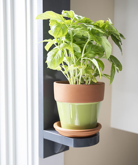 HOME DZINE Kitchen | Handy Herb Pot Shelf for a Kitchen