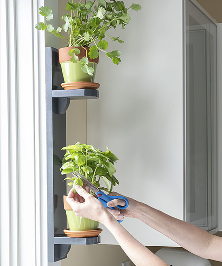 HOME DZINE Kitchen | Handy Herb Pot Shelf for a Kitchen