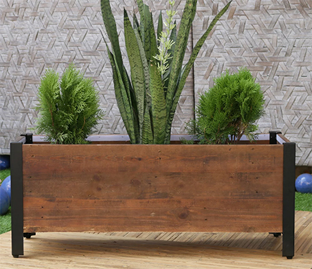 Choose the Right Style and Size of Pot for Plants