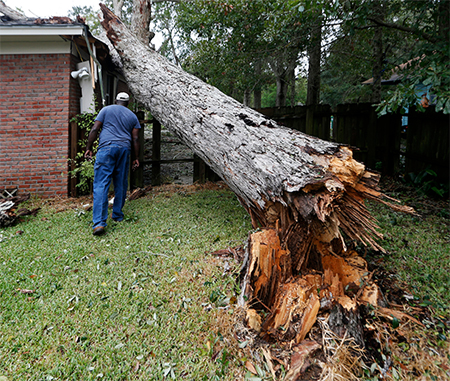 Annual Maintenance to Protect Your Home