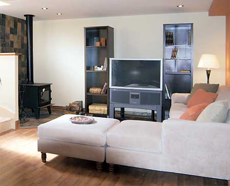 HOME DZINE Home Decor | TV in real life