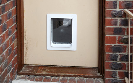 HOME DZINE Home DIY | Install a Pet Flap or Pet Door